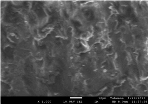 Represents The Sem Micrograph Of The Epoxy Resin Control Sample It