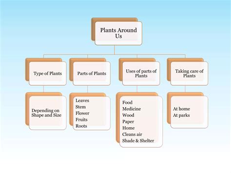 Environmental Science Evs Plants Around Us Class Iii Pdf