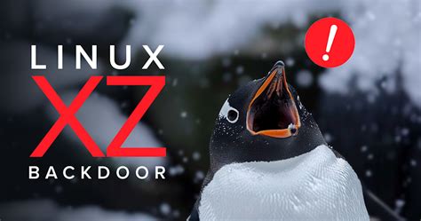 What Is The Linux Xz Utils Backdoor Vulnerability