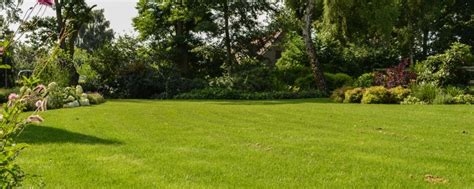 Gazon Aanleggen Hoe Leg Je Een Nieuw Grasveld Aan
