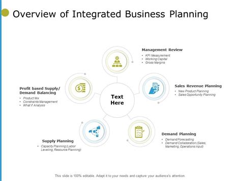 Overview Of Integrated Business Planning Ppt Powerpoint Presentation