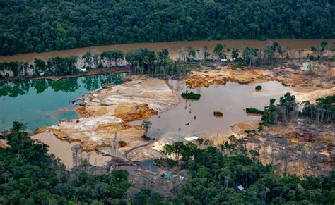 Illegal Gold Miners Stalk Amazon As Authorities Look Away Bbc News