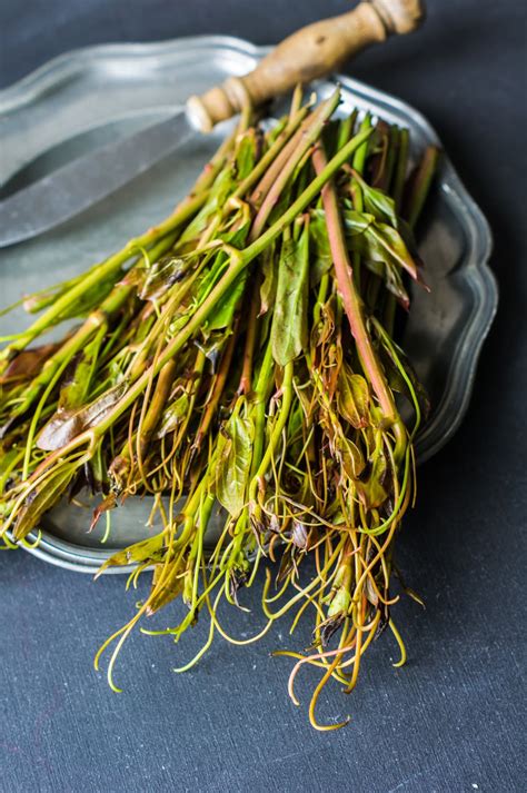 Sarsaparilla Root Healthier Steps