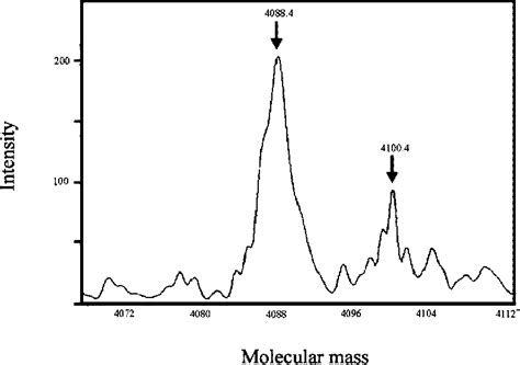 Figure 1 From A Molecular Understanding Of Mitoxantrone Dna Adduct Formation Semantic Scholar