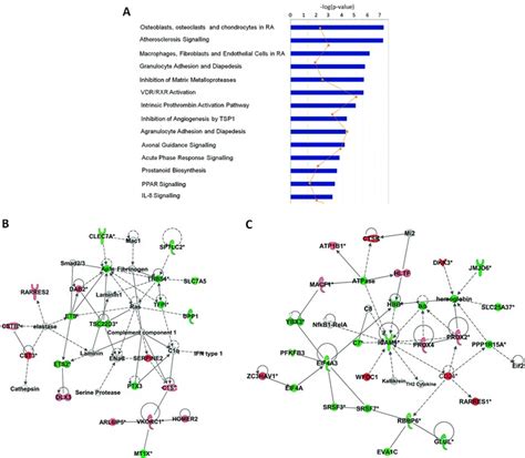 Pathway Analysis Of Affymetrix Gene Data A Core Functional Analysis Download Scientific