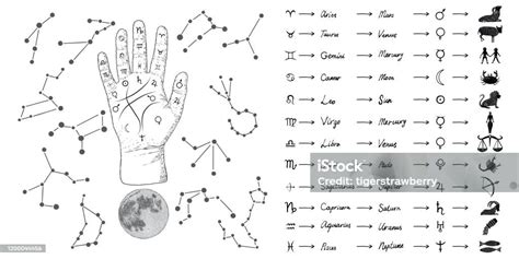 팔미스트리 다이어그램과 조디악 별자리와 점쟁이 손 마법의 연금술 영성 상징 신비와 신비한 손으로 손으로 그린 스케치 손바닥 읽기를 그린 필도적 기호 벡터 0명에 대한 스톡