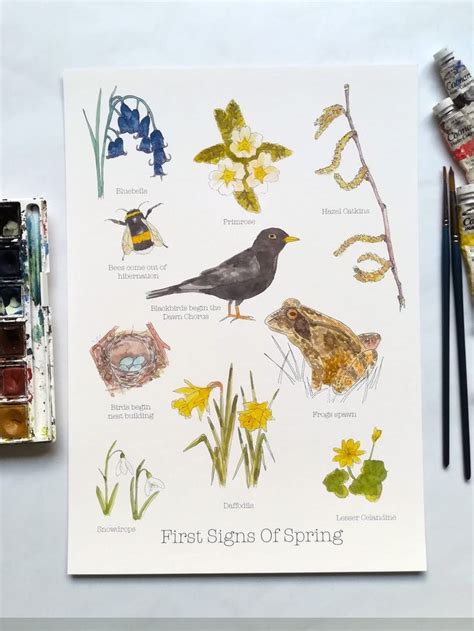 First Signs Of Spring A4 Print Nature Lovers Gift Spring Print Nature