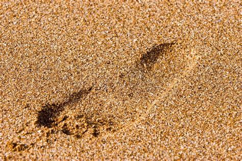 Footstep Picture Image 5411506