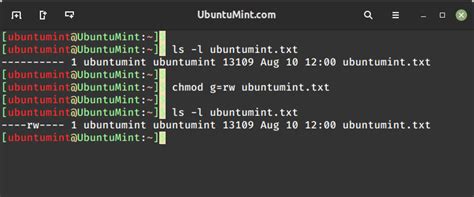 The Complete Guide To Changing File Permissions In Linux