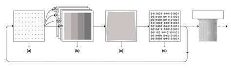 Flow Diagram Showing Computational Tool Pipeline A Grid Set Up B Download Scientific
