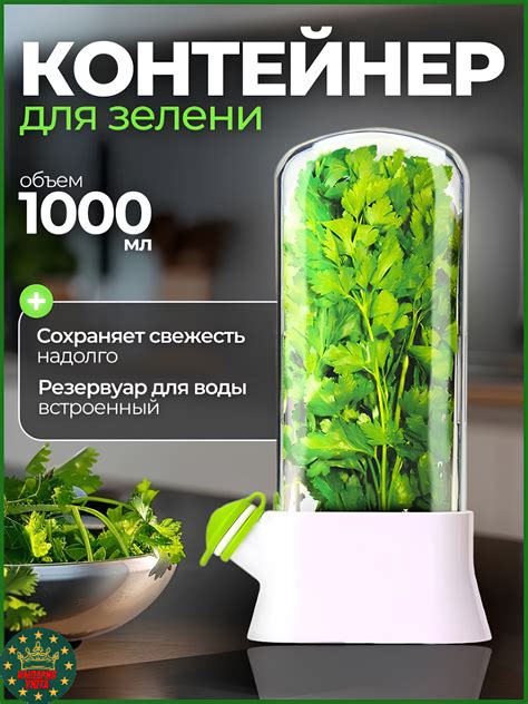 Контейнер для хранения зелени свежей органайзер в холодильник ...