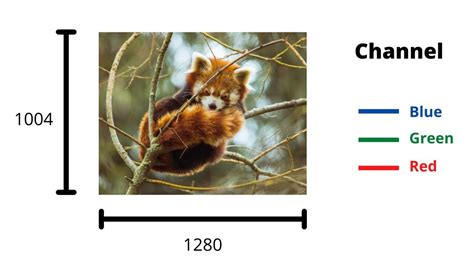 Build A Sequential Model Computer Vision With Keras P2 Pysource