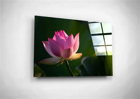 Lotus Blossom Wall Art Water Lily Flower Print On Glass Etsy
