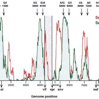 Bootstrap Plot Analysis To Map Recombination Breakpoints In Cy