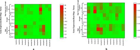 Heatmaps Of Hsf And Hsps Genes Expression Of Saray A And Turay Download Scientific Diagram