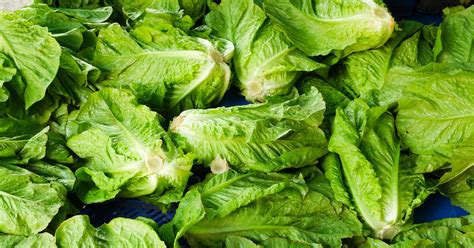What Caused The Romaine Lettuce E Coli Outbreak Here Is Fda Finding