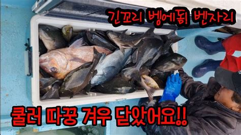 귀한 녀석들로 꽉꽉 눌러담았습니다 벵에돔 만쿨 낚시v Log맛보기 영상 낚시 벵에돔 바다 Youtube