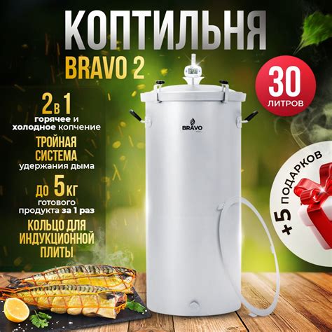 Коптильня домашняя 30 л для горячего копчения Браво 2 с гидрозатвором и ...