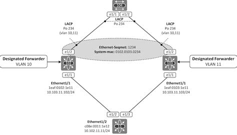 The Network Times Evpn Esi Multihoming Part I Evpn Ethernet Segment