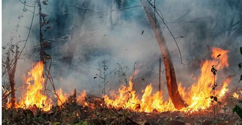 Ulaanbaatar Air Quality Index Aqi And Mongolia Air Pollution Iqair