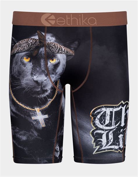 Ethika Boxers And Underwear Tillys