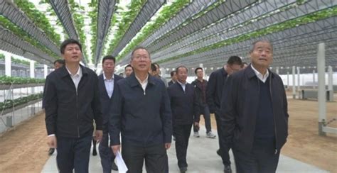 国家统计局设计管理司司长徐荣华来茌平调研腾讯新闻
