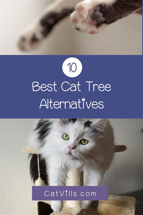 Incredibly Cool Alternatives To Cat Trees Artofit