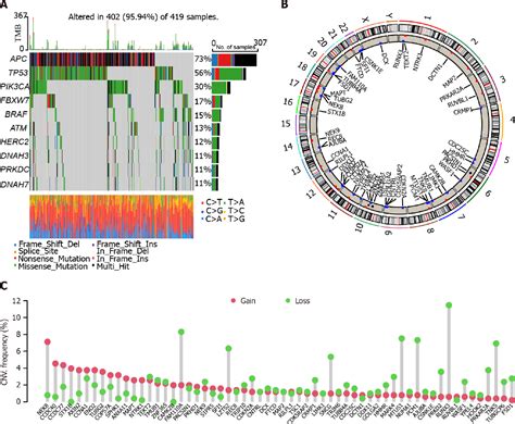 Figure 1 From World Journal Of Gastrointestinal Oncology Semantic Scholar