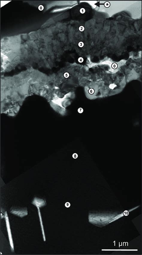 Stitched Bright Field Tem Micrographs Of Sb Coni 10 Oxidized For 1 H In