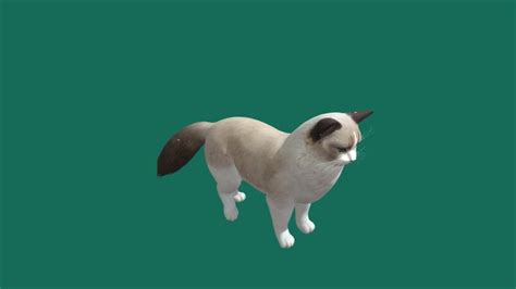 Ragdoll 3d Models Sketchfab