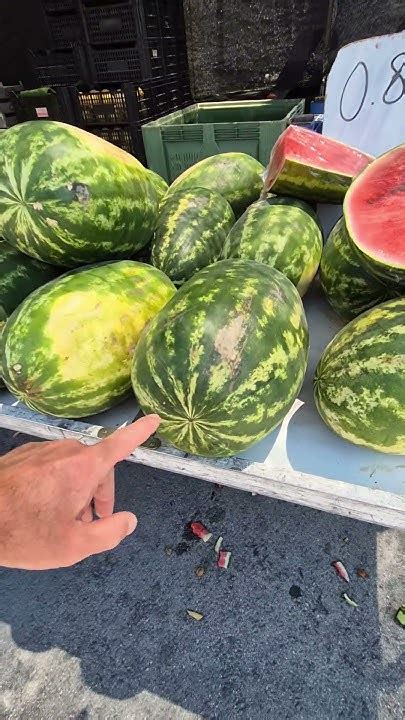 Сколько стоят арбузы на рынке в Испании Youtube
