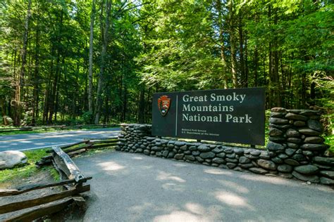 The Differences Between National Parks And National Forests