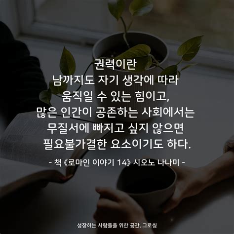 권력이란 남까지도 자기 생각에 따라 움직일 수 있는 힘이고 많은 인간이 공존하는 사회에서는 무질서에 빠지고 싶지 않으면 필요불가결한 요소이기도 하다 책 《로마인