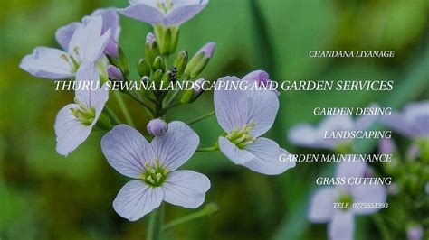 මගේ ගෙවත්ත මගේ ගෙවත්ත Added A New Photo