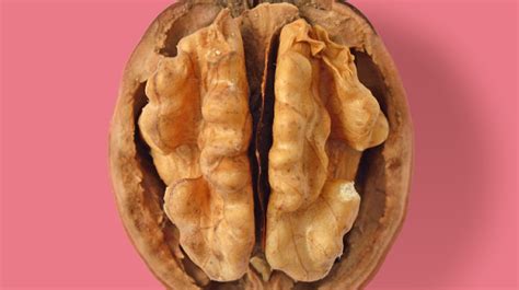 Artificial Intelligence An Overview Datafloq