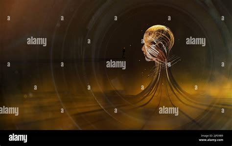 Network Brain Artificial Intelligence Ai Networks Brains