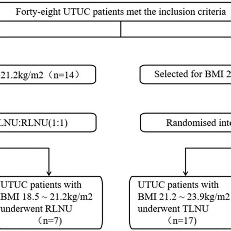 Laparoscopic Nephrectomy Was Performed At This Position But The Ureter