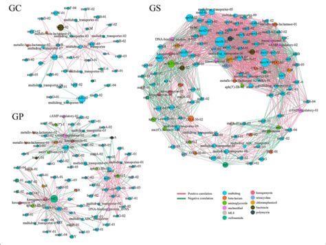The Network Analysis Revealing The Co Occurrence Patterns Among Arg Download Scientific