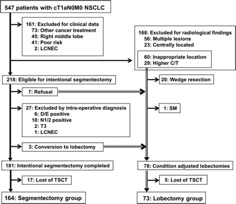 Re Assessment Of Intentional Extended Segmentectomy For Clinical T1an0 Non Small Cell Lung