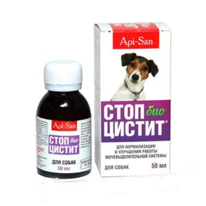Цистит у собаки – симптомы, лечение в домашних условиях, препараты