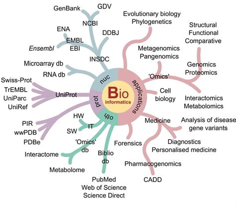 The Scope Of Bioinformatics‼️ Some Of The Key Areas That Make Up