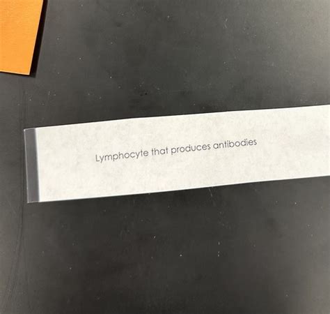 Bio 202 Quiz 3 Flashcards Quizlet
