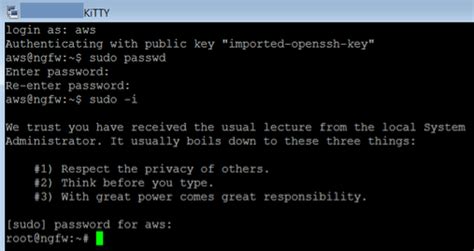 Log On To The Flexedge Secure Sd Wan Engine Using Ssh In The Example Deployment