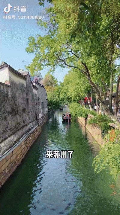 “特种兵式旅游”刷屏！苏州古城何以光速“出圈”？ 名城苏州新闻中心