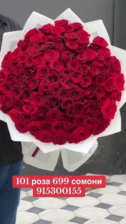 101 роза 699 сомони Для заказа звоните по телефону 992915300155 Whatsapp Youtube