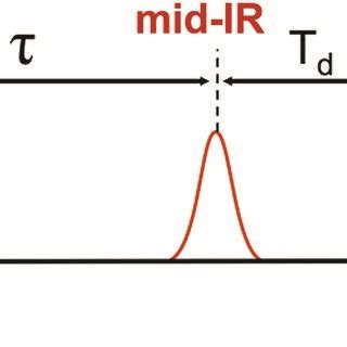 Pulse Sequence Used In The Pulse Experiments Download Scientific Diagram