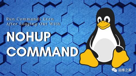 vmx 进程已提前退出。 让 linux 进程在后台可靠运行的几种方法 csdn博客