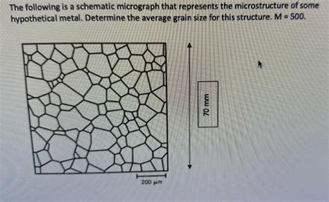 Solved The Following Is A Schematic Micrograph That Chegg