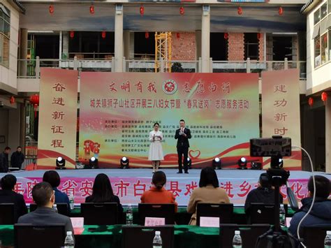 白河县工商联联合狮子山社区等单位开展庆“三八”妇女节暨“春风送岗”志愿服务活动 安康市工商业联合会 安康市总商会