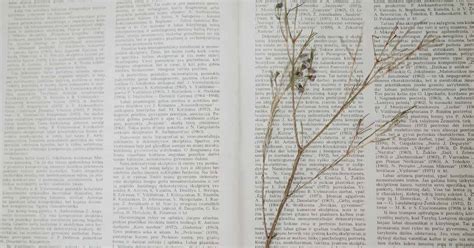 Pythongeopandasの地理空間結合（spatial Join）の挙動を確認したい さとぶろぐ